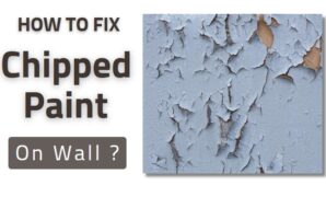 A Comprehensive Guide on How to Fix Chipped Paint on Wall - Home Tips